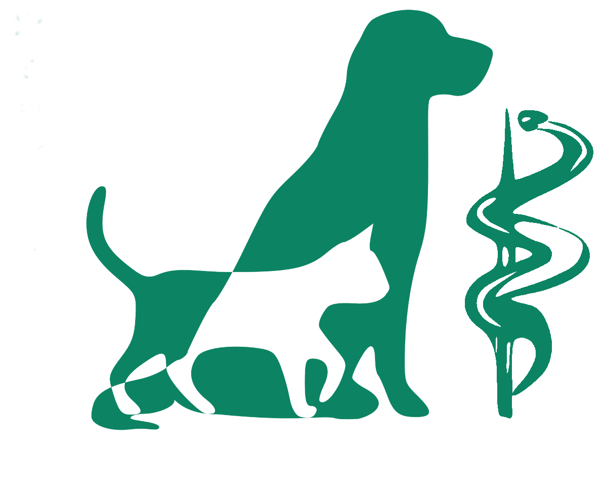 Tierarztpraxis Scheit